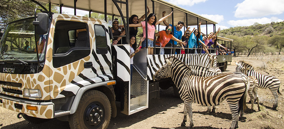 A la découverte de Casela Nature Park - ChannelNews